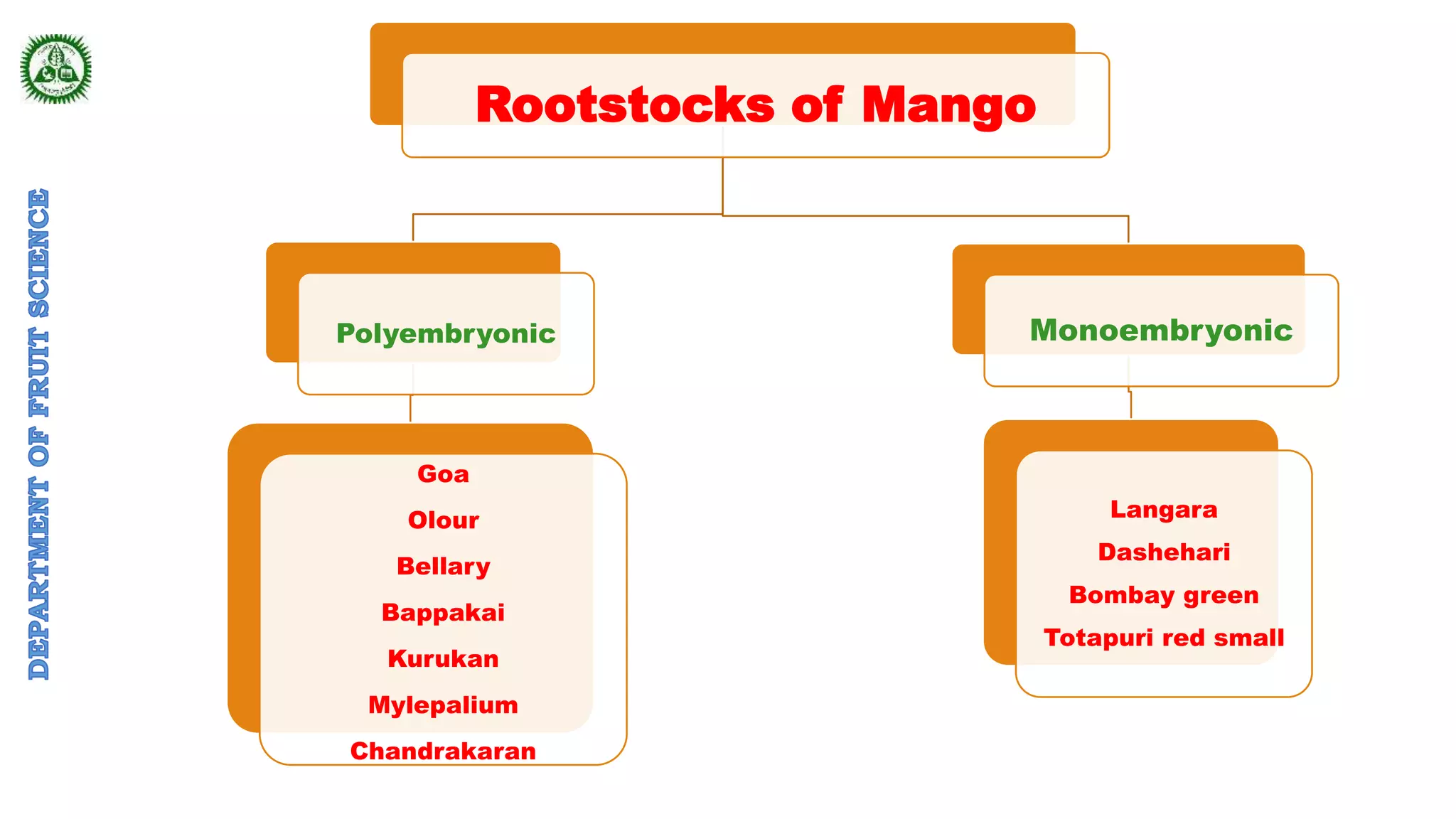 Rootstocks For Tropical and Subtropical Fruit Crops.pptx