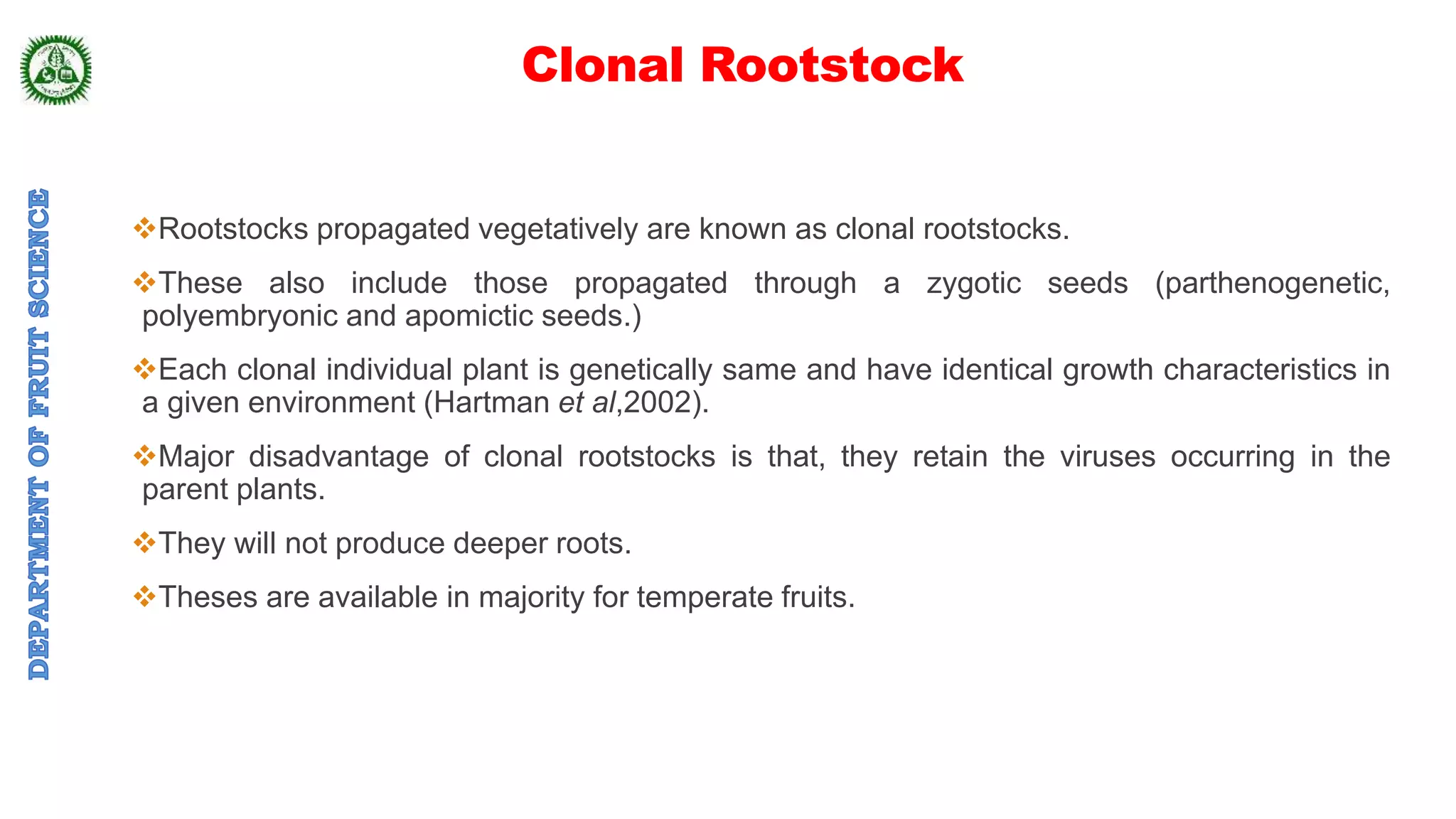 Rootstock For Tropical and Subtropical Fruit Crops.pptx