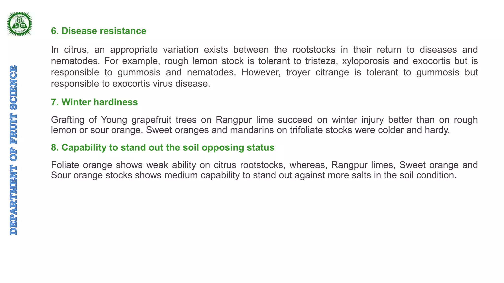 Rootstock For Tropical and Subtropical Fruit Crops.pptx