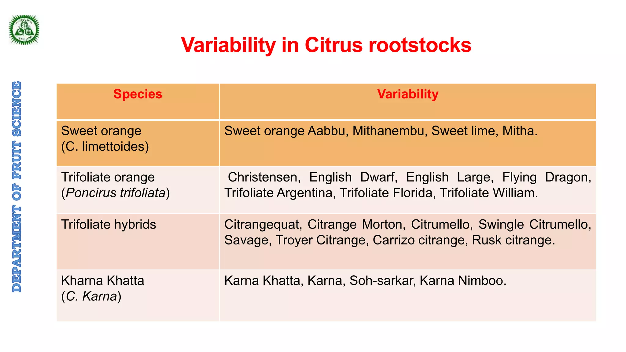 Rootstock For Tropical and Subtropical Fruit Crops.pptx