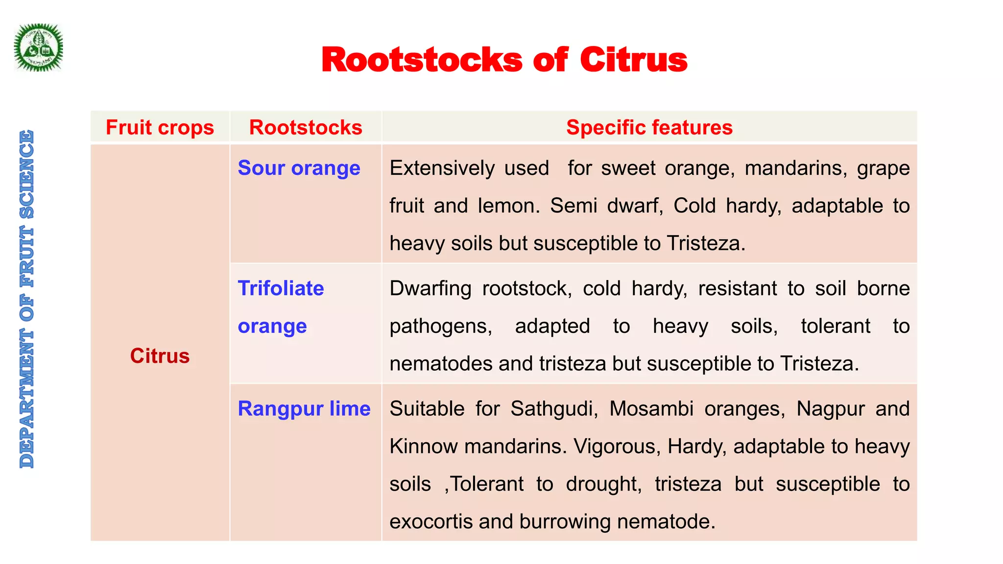 Rootstock For Tropical and Subtropical Fruit Crops.pptx