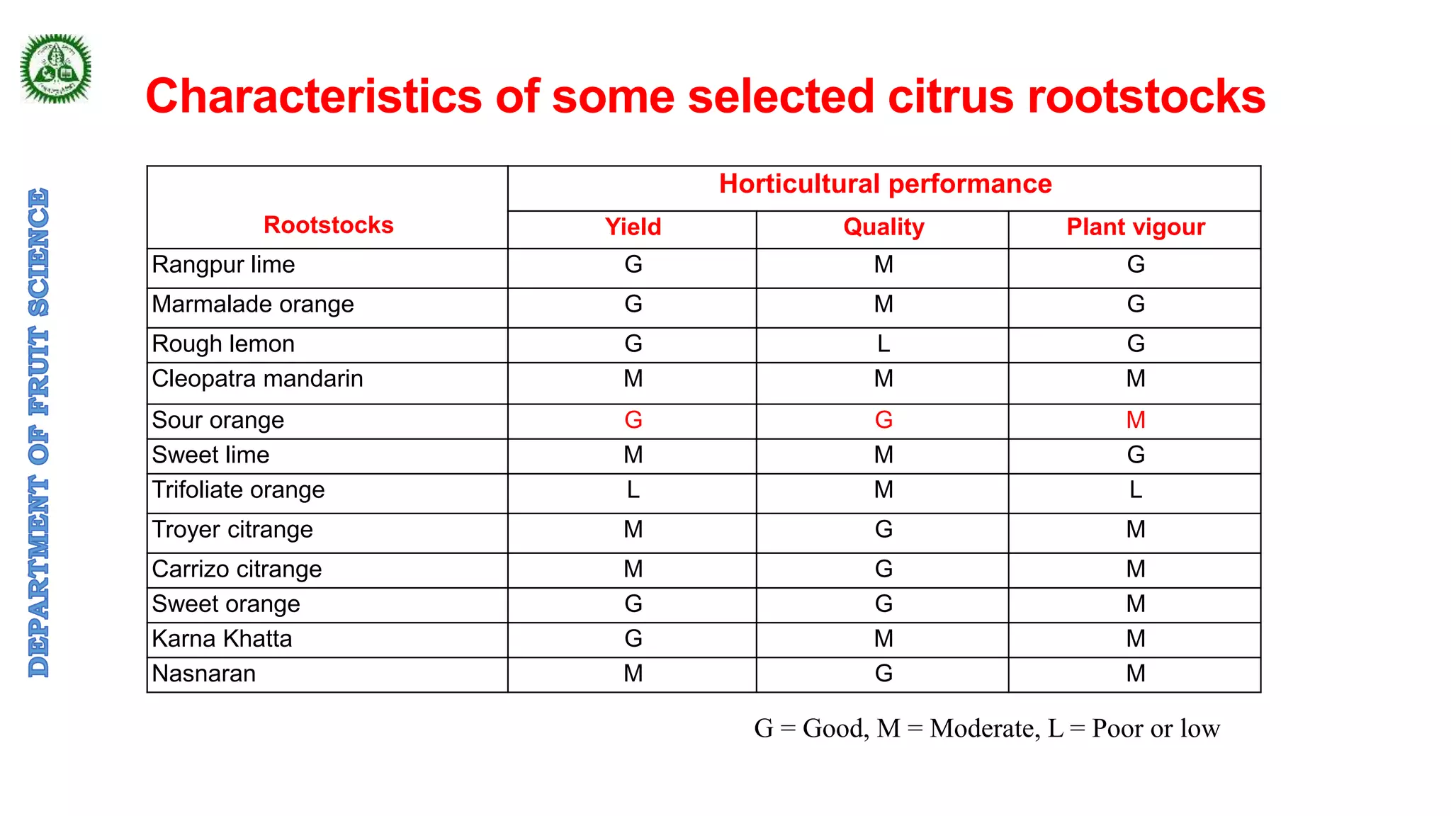 Rootstock For Tropical and Subtropical Fruit Crops.pptx