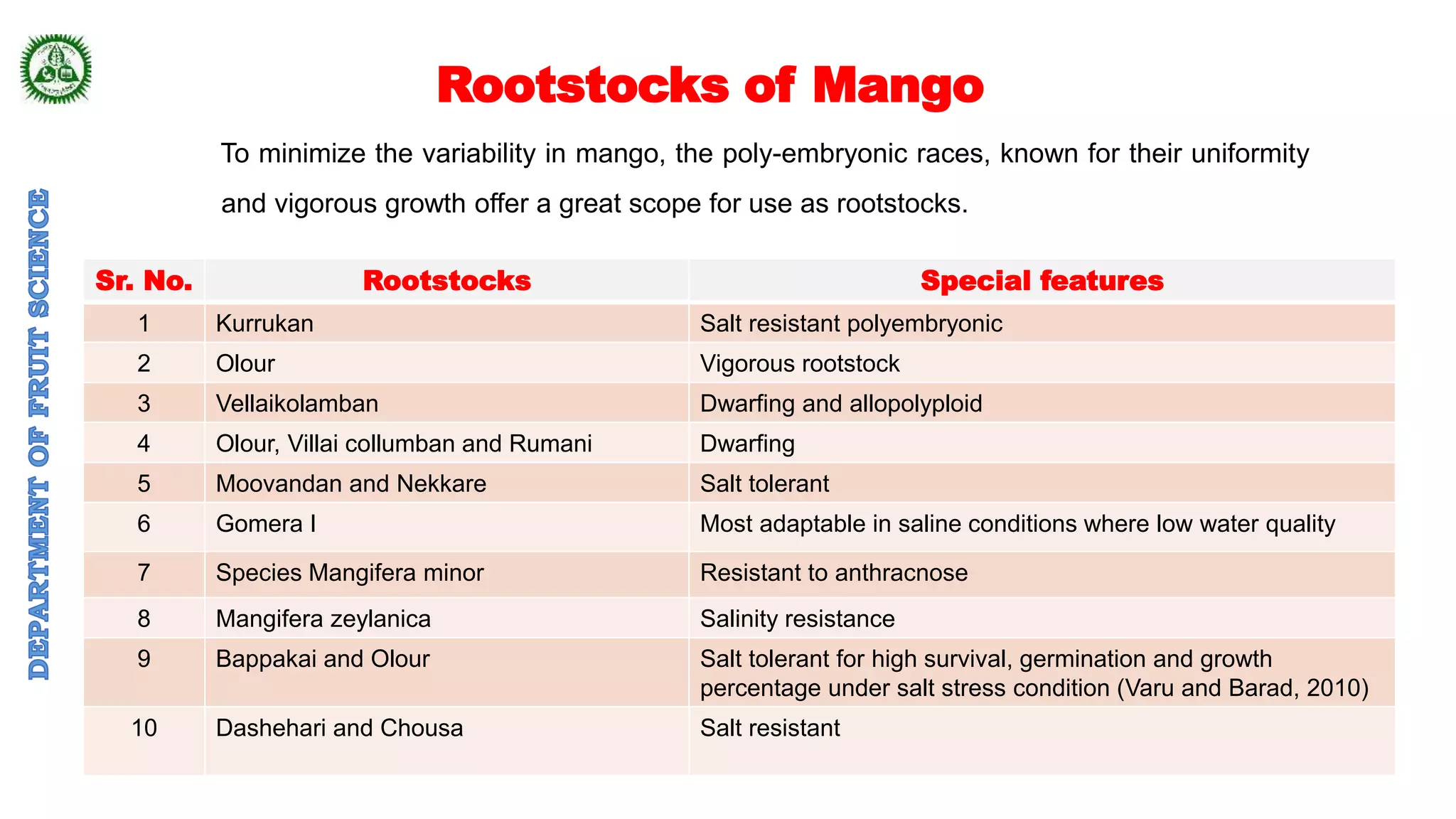 Rootstock For Tropical and Subtropical Fruit Crops.pptx
