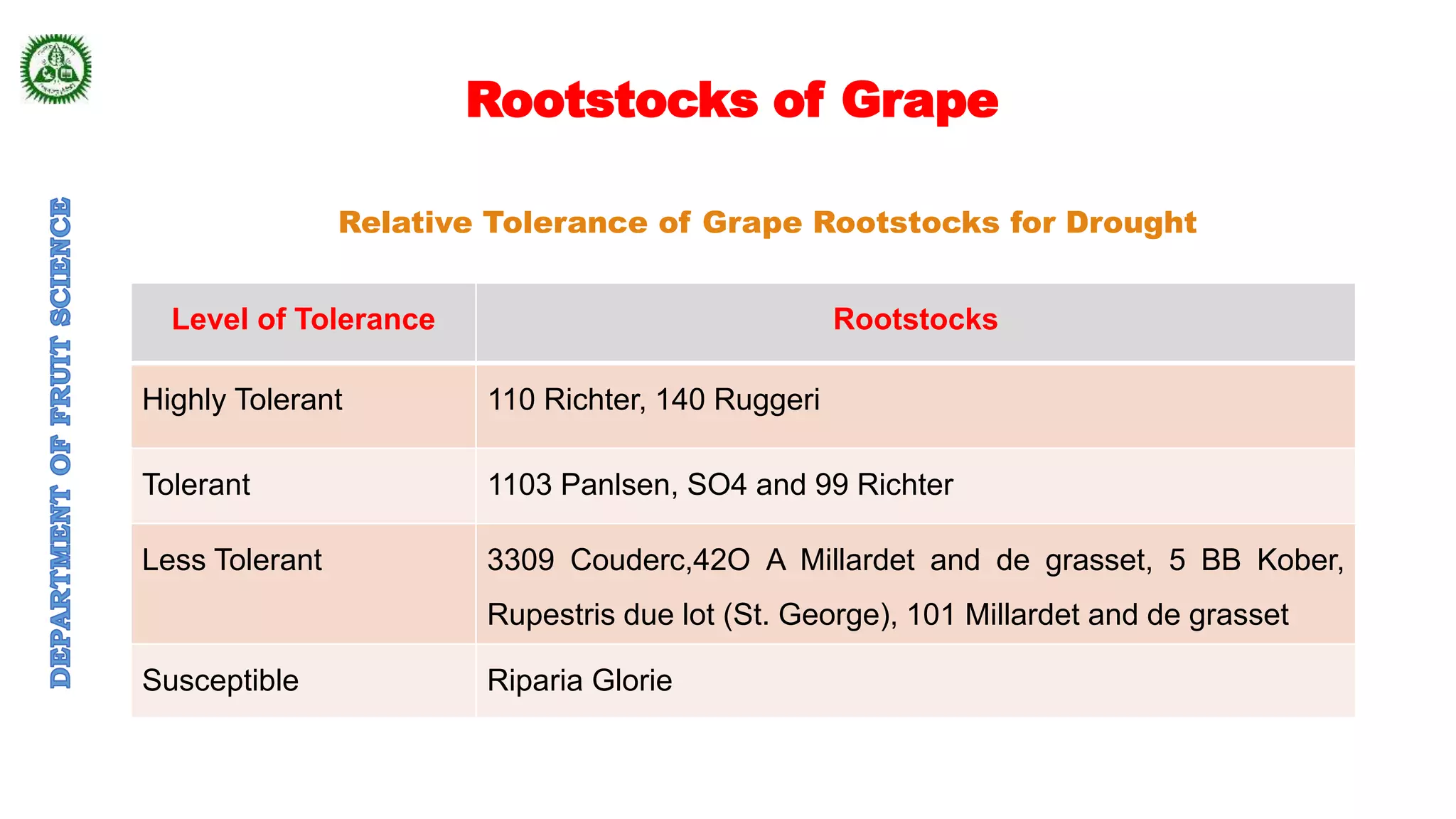 Rootstock For Tropical and Subtropical Fruit Crops.pptx