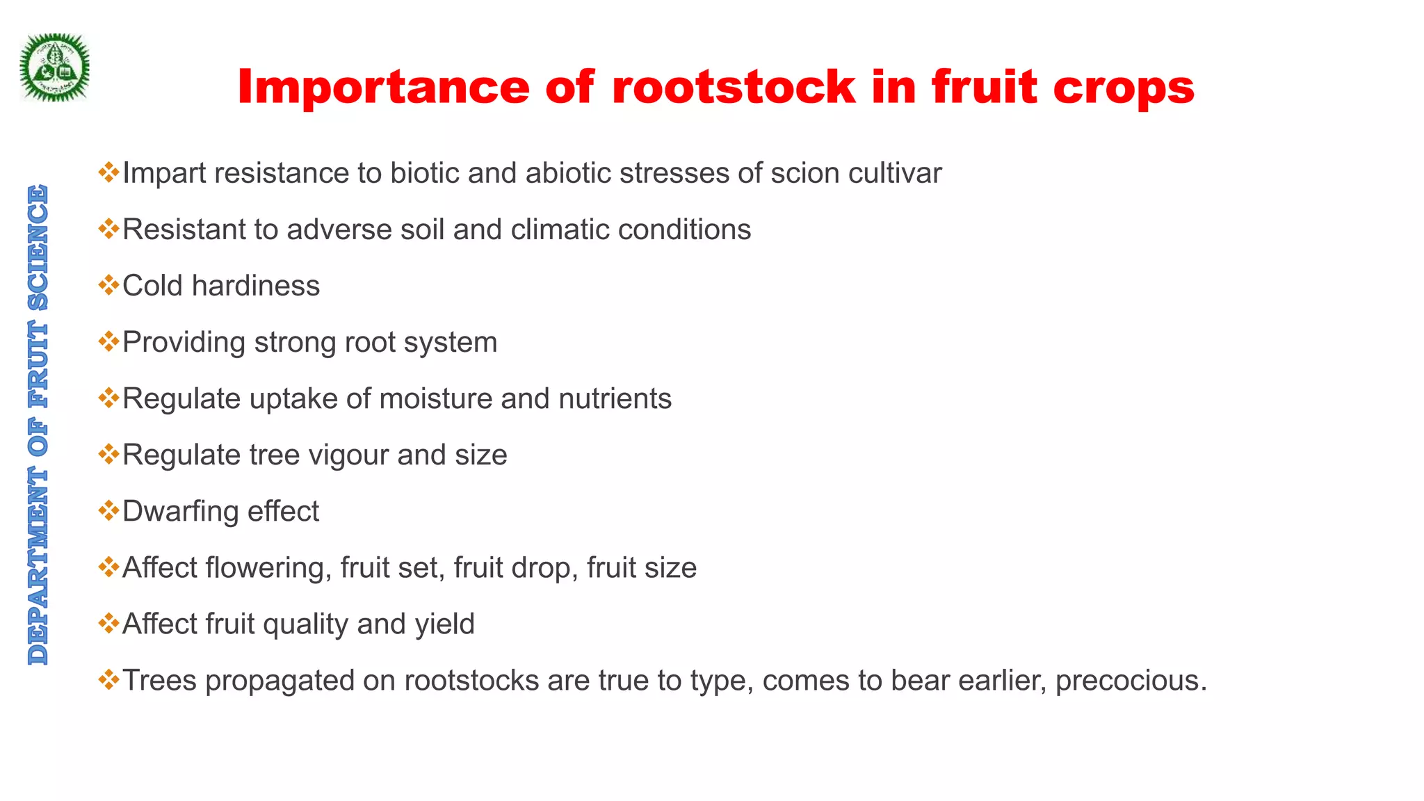 Rootstock For Tropical and Subtropical Fruit Crops.pptx
