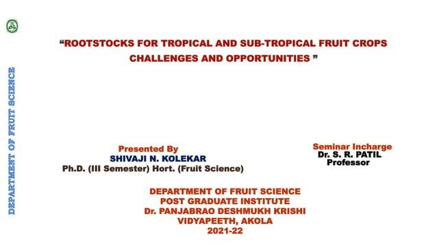 Rootstock For Tropical and Subtropical Fruit Crops.pptx