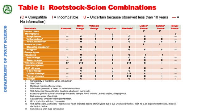 Rootstock For Tropical and Subtropical Fruit Crops.pptx