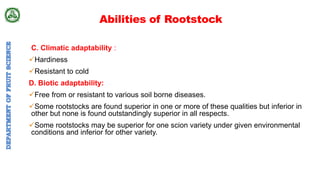 Rootstock For Tropical and Subtropical Fruit Crops.pptx