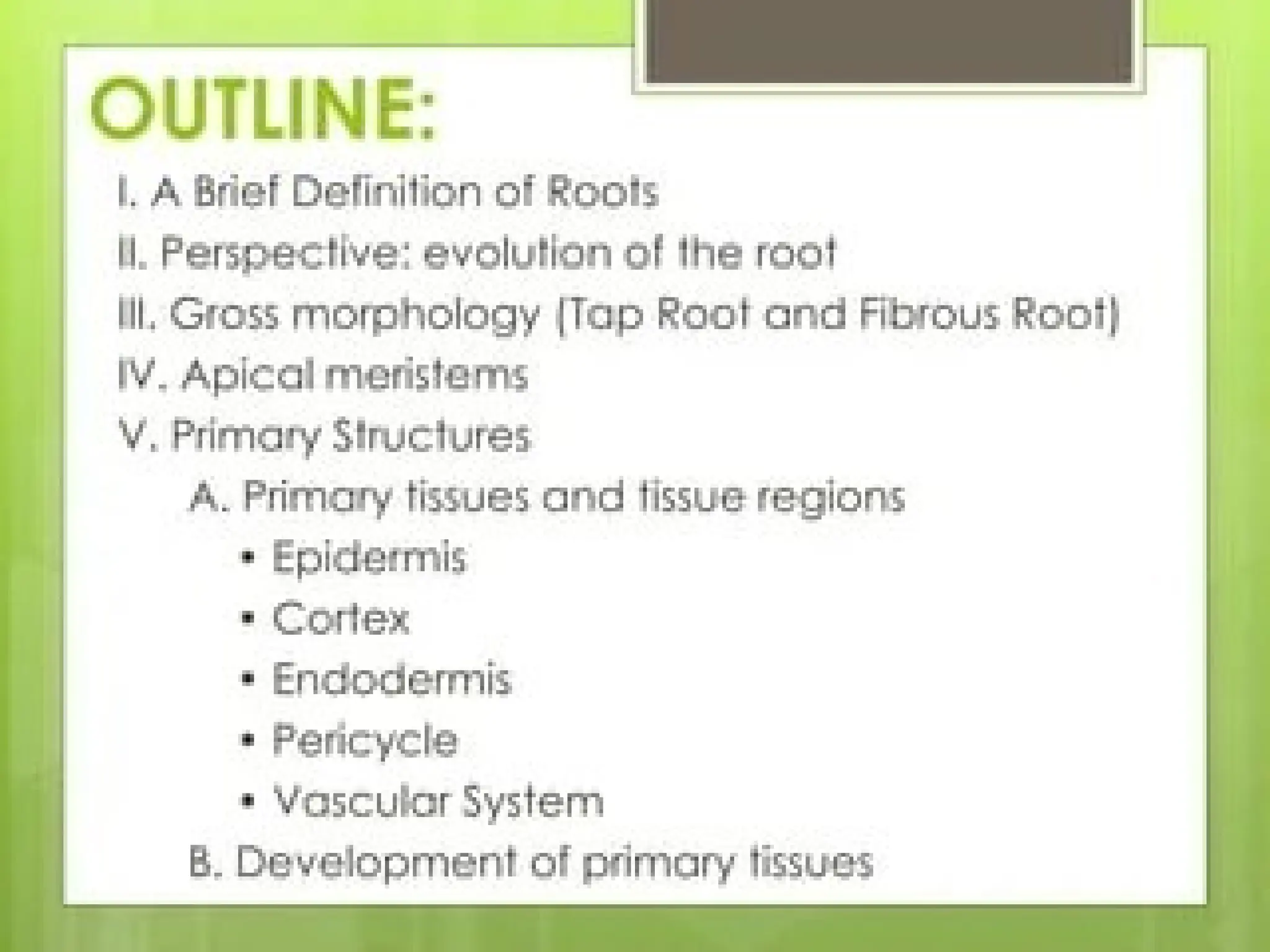 Root structure plant physiology-501.pptx