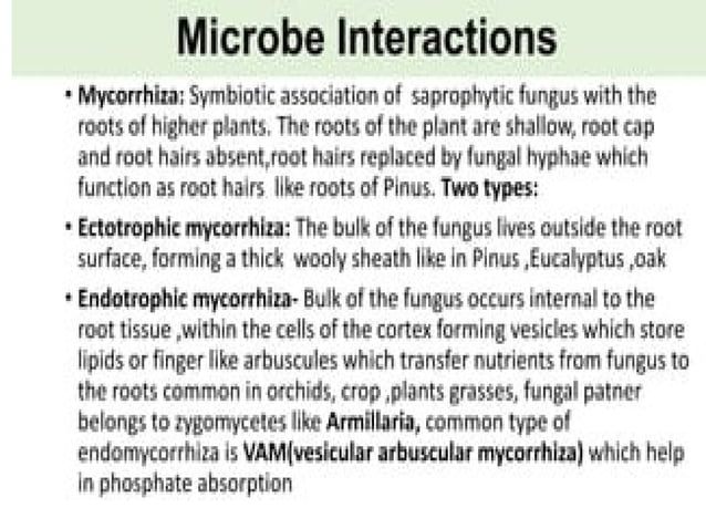 Root structure plant physiology-501.pptx