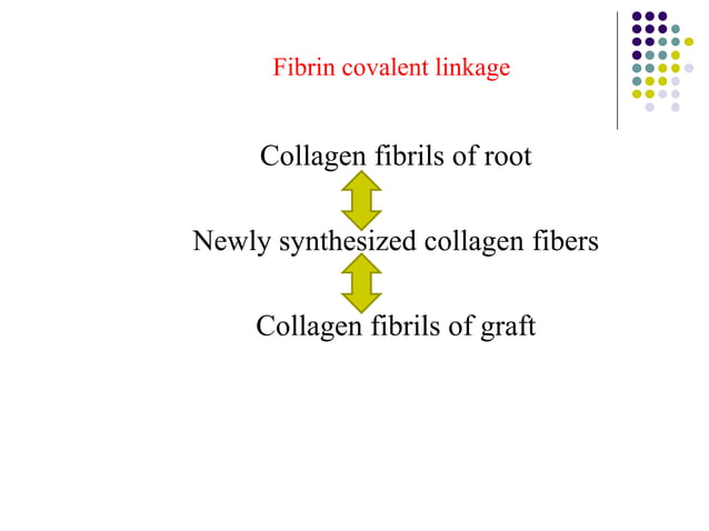 Root Surface Biomodification in periodontal therapy .pptx | Dental ...