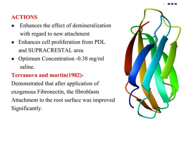 Root Surface Biomodification in periodontal therapy .pptx | Dental ...
