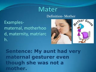 Root words | PPTX | Parenting | Family and Relationships