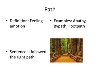 Root words | PPTX