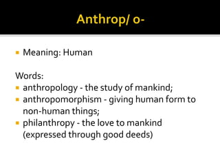 Root words Part 1 | PPTX