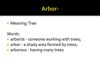 Root words Part 1 | PPTX