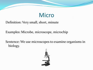 Root words project-Taylor French | PPTX