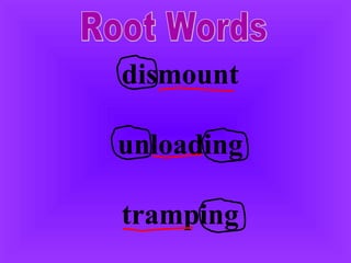 Root Words | PPT
