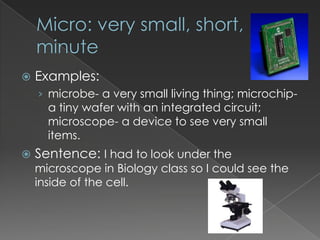 Root words powerpoint | PPTX | Dental Health | Diseases and Conditions