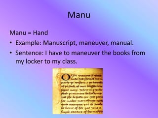 R oot words powerpoint | PPTX