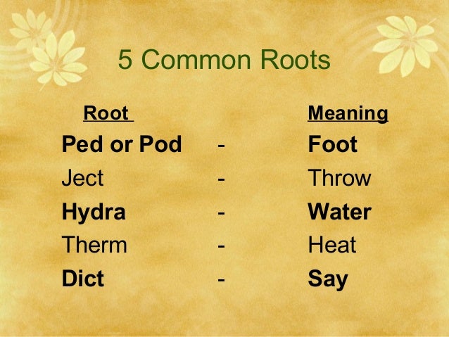 Root Words Ppt root-words-ppt