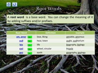 Root Words, Prefixes, and Suffixes.pptx