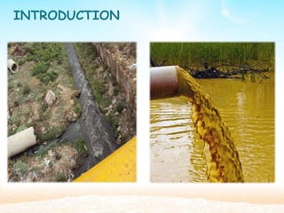 Root zone Cleaning System.pptx