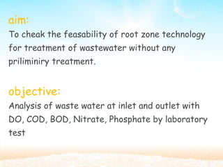 Root zone Cleaning System.pptx