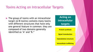 Bacterial Toxins and Toxin classification | PPTX | Biological Sciences ...