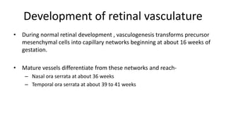 Retinopathy of prematurity | PPT
