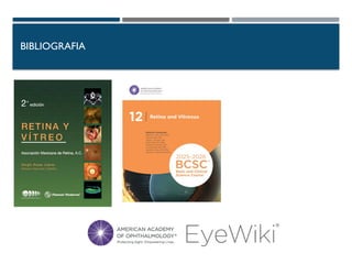 Comprehensive Overview of Retinopathy of Prematurity (ROP ...