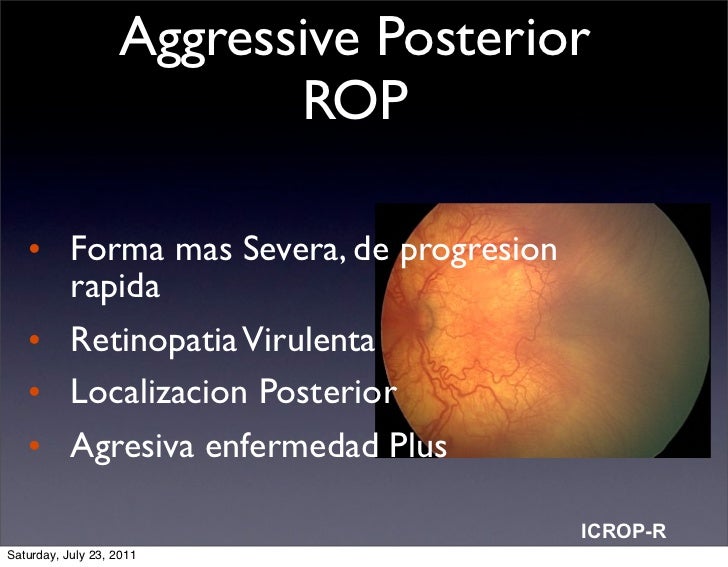 Rop clasificación pedro mattar