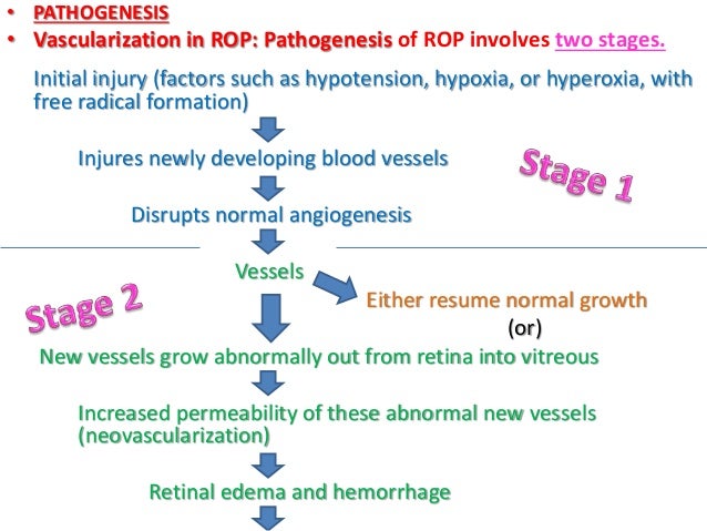 ROP - Dr Padmesh - Neonatology