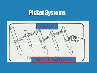 Rope rescue set up | PPS