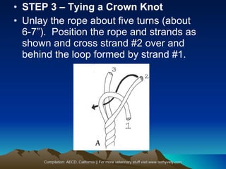 Ropework | PPS