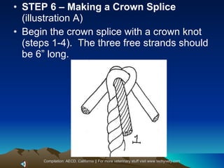 Ropework | PPT