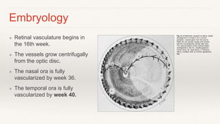 Retinopathy of Prematurity | PPT