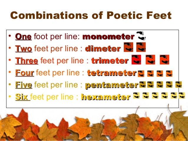 Meter in Poetry