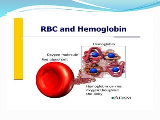 Blood; Importance in Diagnosis | PPTX