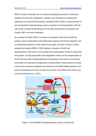 ROR1 ADCs in Clinical Trials MK-2140, NBE-002 & CS5001.pdf