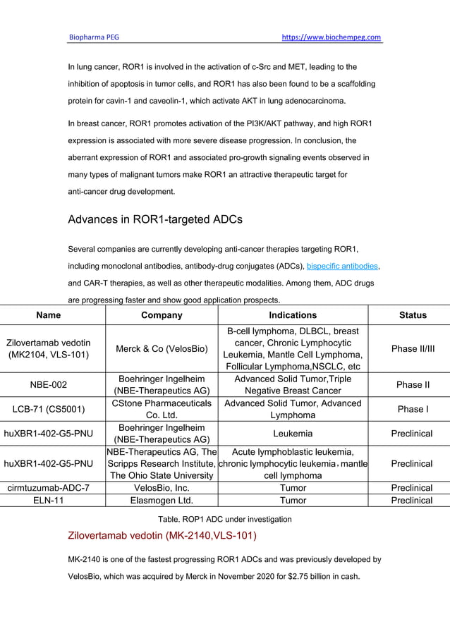 ROR1 ADCs in Clinical Trials MK-2140, NBE-002 & CS5001.pdf