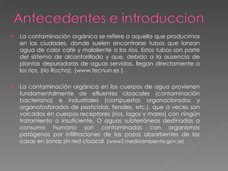 RíO Rocha | PPT