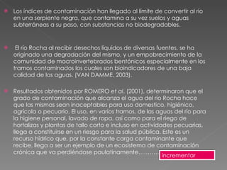 RíO Rocha | PPT