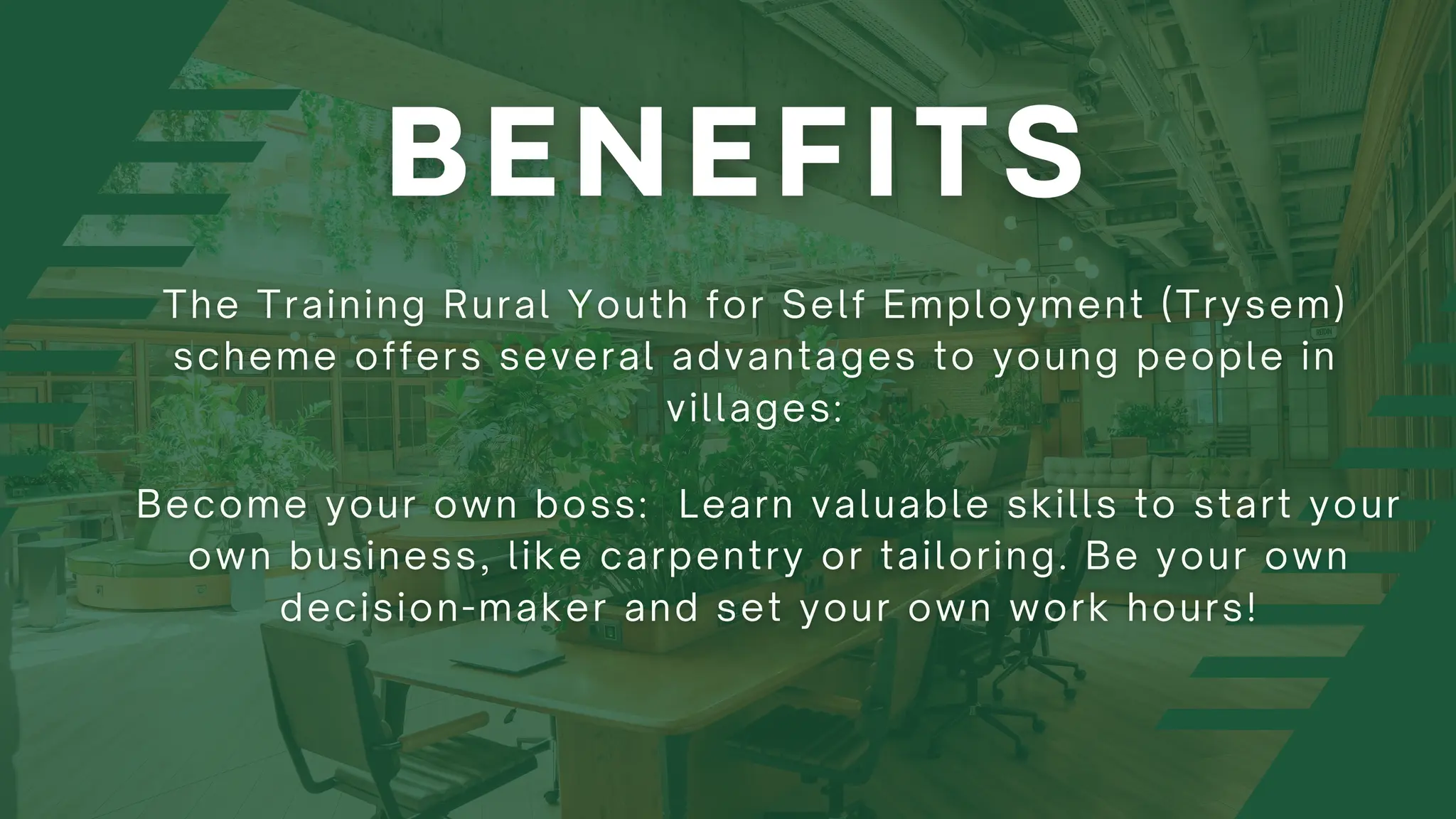 TRYSEM scheme ppt government scheme .pdf