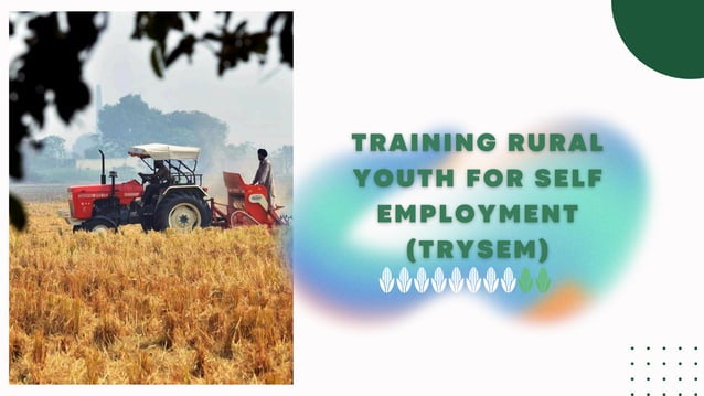 TRYSEM scheme ppt government scheme .pdf | Small and Medium-sized ...