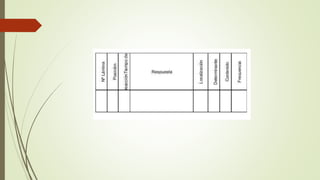 Rorschach | PPT