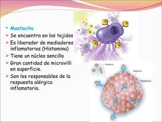 Celulas del Sistema Inmune | PPT
