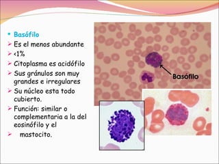 Celulas del Sistema Inmune | PPT