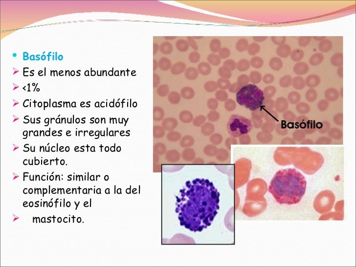 Celulas del Sistema Inmune