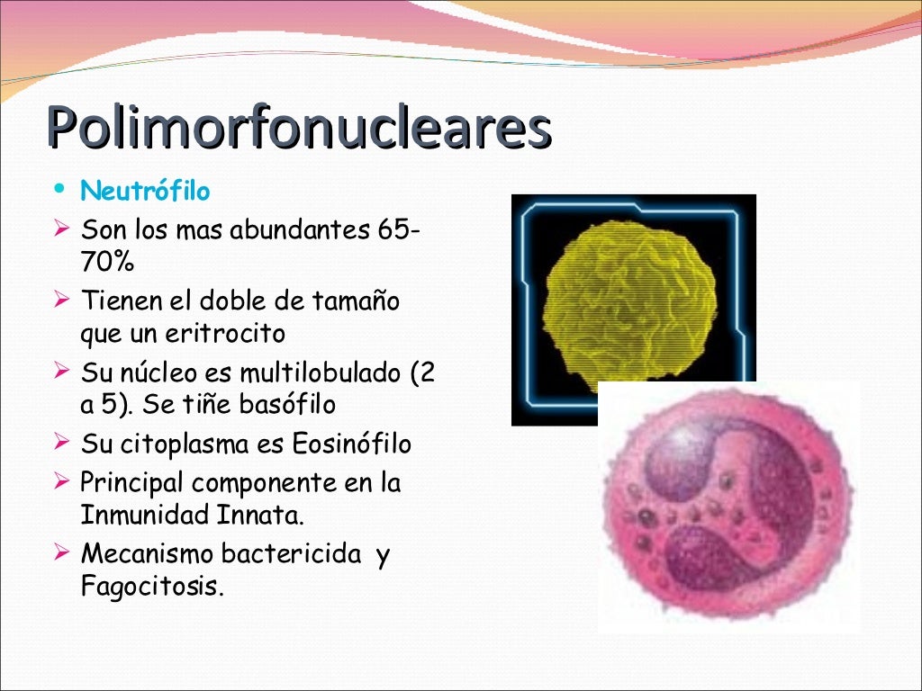 Celulas del Sistema Inmune